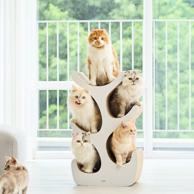 Duit Kitty Tree [Pre-order] – Professor Cat